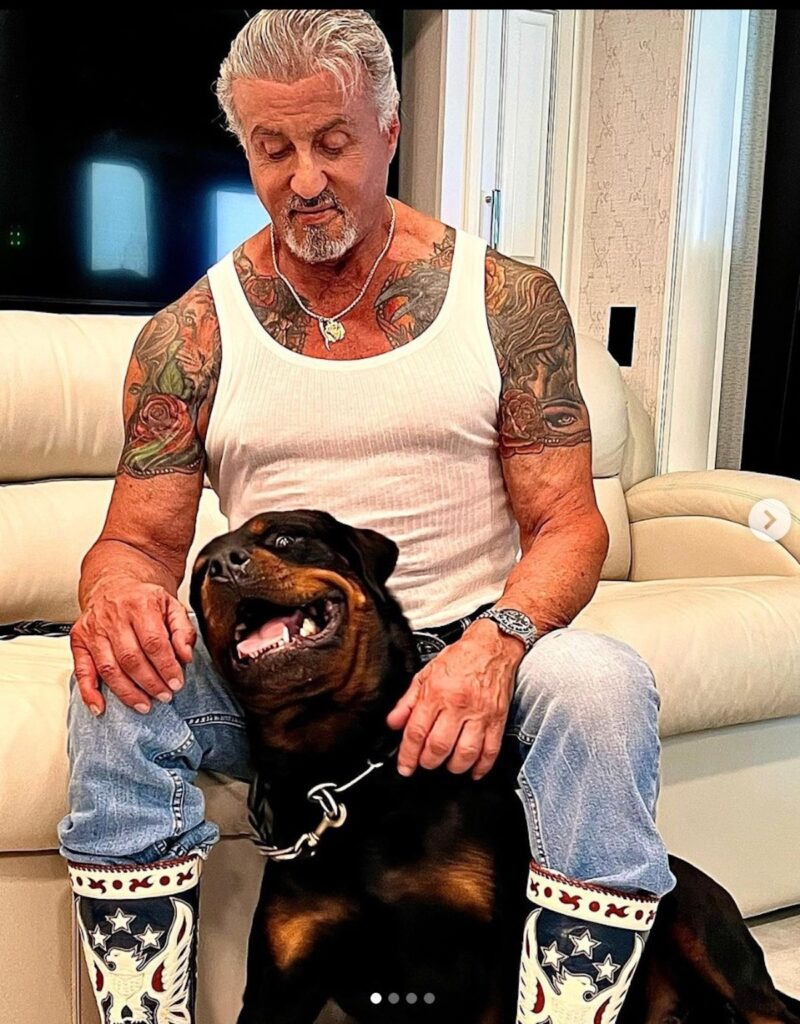 Sylvester Stallone divorzio dopo 25 anni da Jennifer Flavin: i motivi